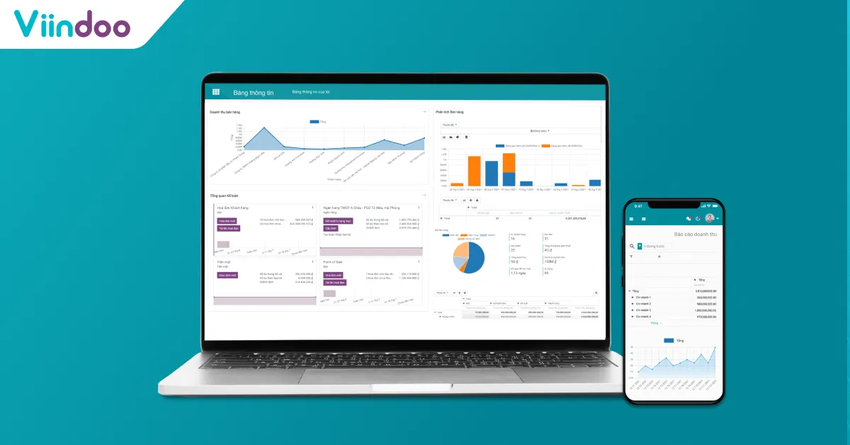 Viindoo Customizing features Service | Viindoo Service